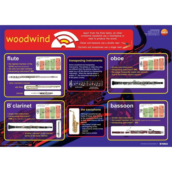 Woodwind Instruments - A1 wall poster - UCan Play™